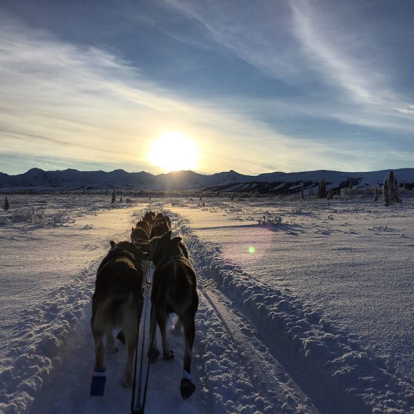 A DAY IN THE LIFE OF … Kristin Knight Pace, Dog Musher - Lessons In ...