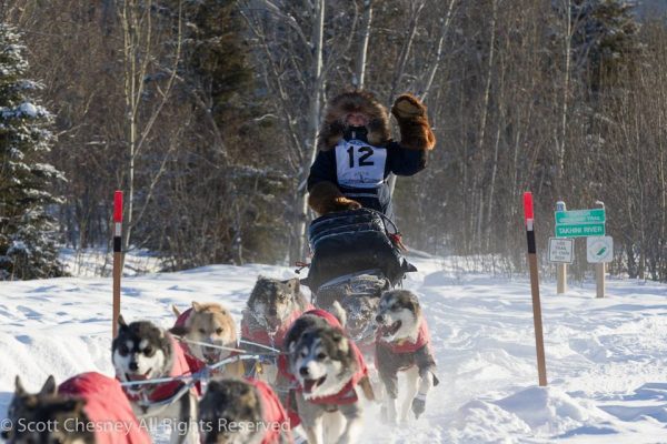A DAY IN THE LIFE OF … Kristin Knight Pace, Dog Musher - Lessons In ...